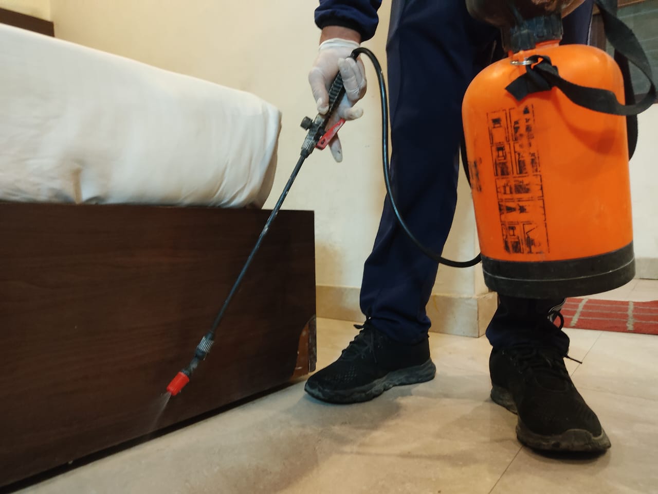 theindianpestcontrol.com – Best